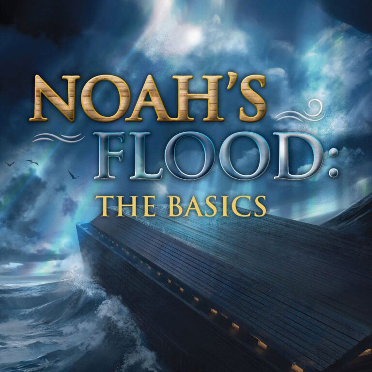 Noah’s Flood: The Basics – Genesis Apologetics