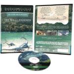 The Ark and The Darkness – Genesis Apologetics