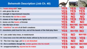 Behemoth in Job 40: Was it a Dinosaur? – Genesis Apologetics