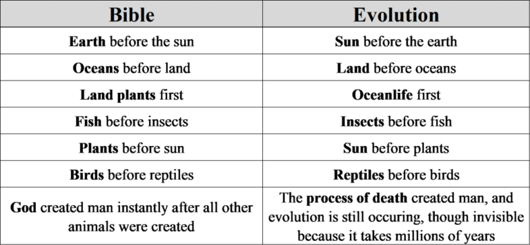 Theistic Evolution: What’s Wrong with the Idea That God Used Evolution ...